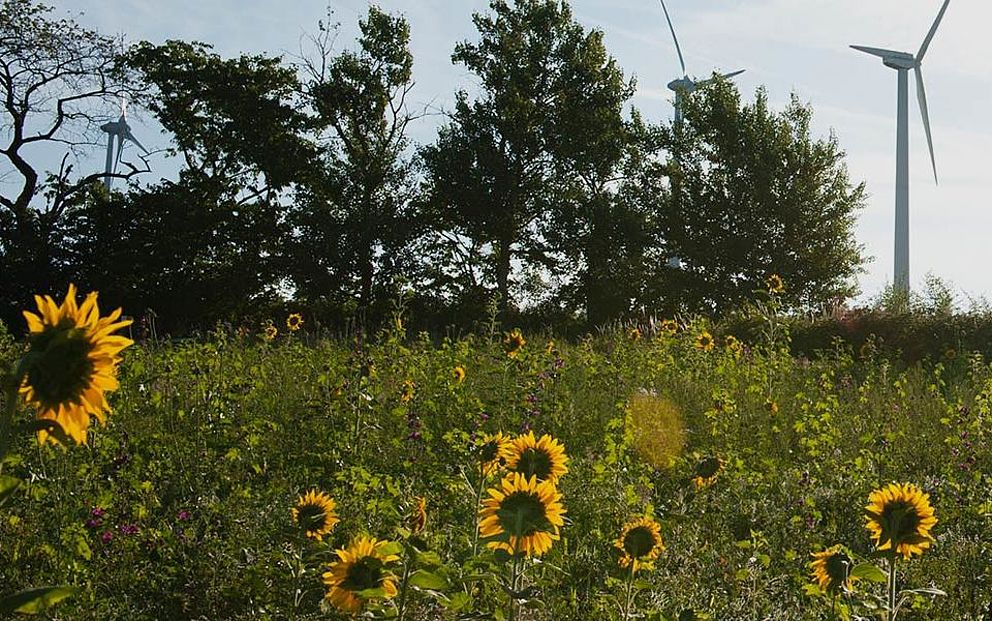 Über ENTEGA | ENTEGA AG