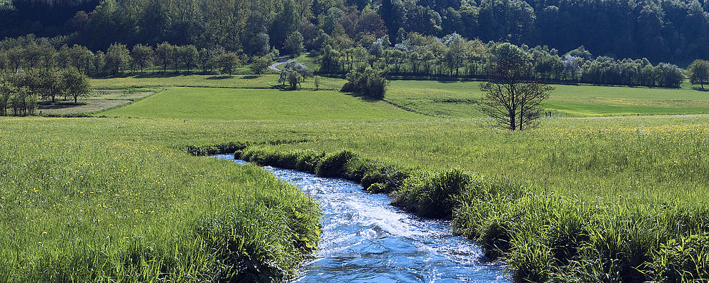 ENTEGA AG | ENTEGA AG